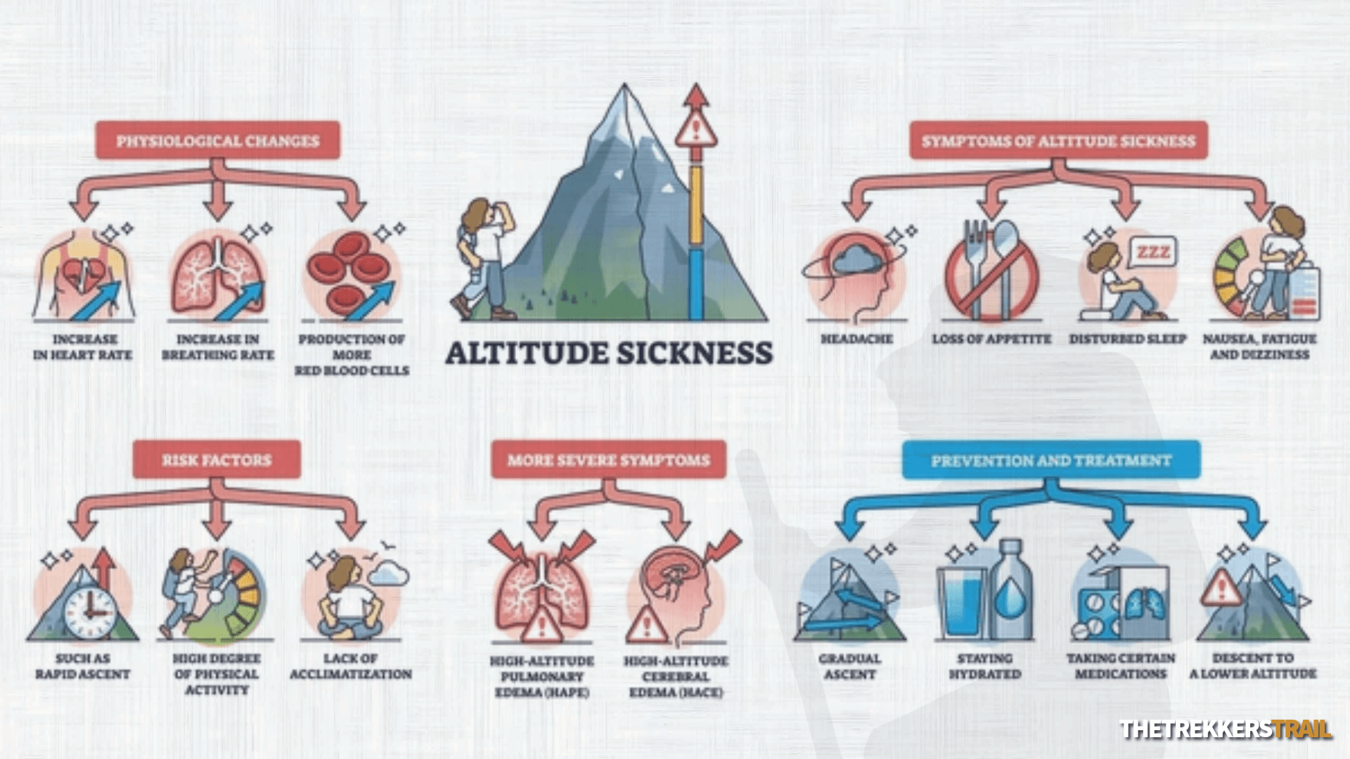 Understanding How High Altitudes Affect Your Body - The Trekkers Trail